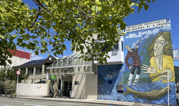 Bridge Backpackers - New Zealand