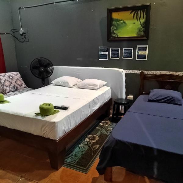 Surá House Corcovado Habitaciones With Ac - コスタリカ