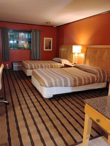 Gated - 2 Double Bed Studio With Full Kitchen 114 - Baton Rouge, LA