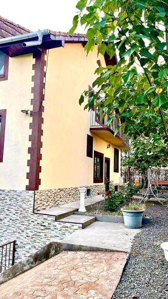 Casa Cosmina - Arad