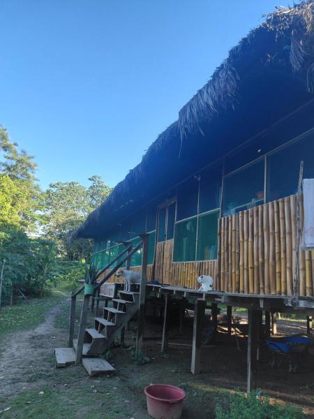 Amazon Tucuxi - Amazonas
