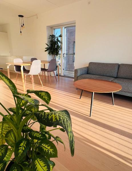 Nodic Apartment - Copenaghen
