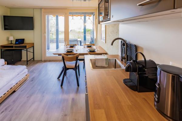 Surfers Oase Near Interlaken At Lake With Pool - Switzerland