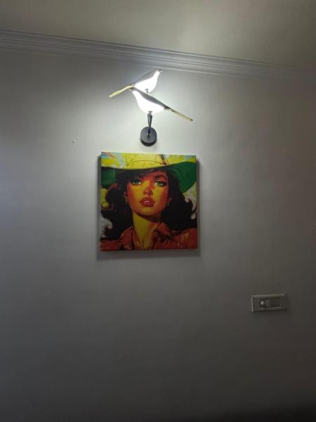 Comfortstay 1bhk - Chandigarh