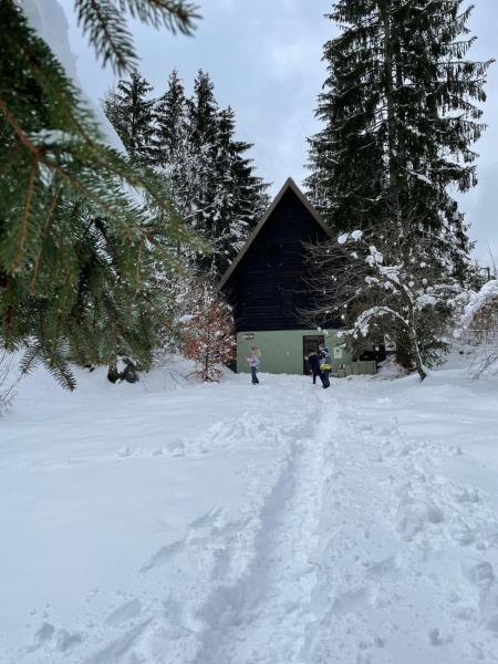 Romantic Forest House Tršće - Kroatien