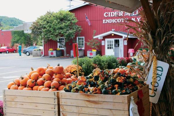 Pleasant, Comfortable Pr Near Vestal Ny - Johnson City, NY