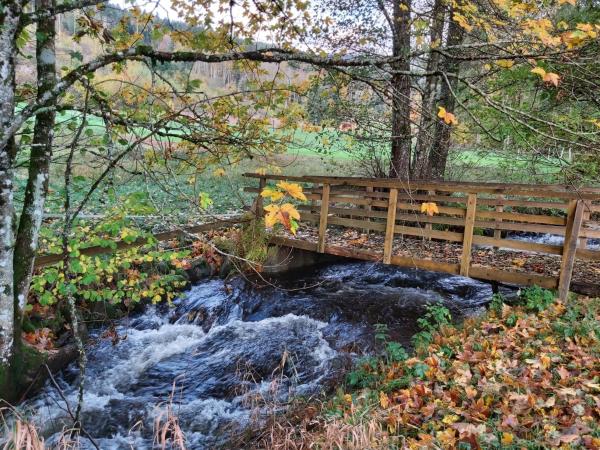 Les Gîtes D'esika - Ballon d'Alsace