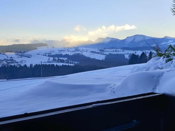 Holiday Apartment With 1 Bedroom - Balderschwang