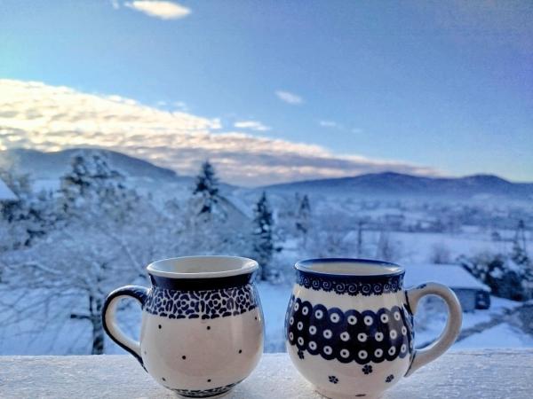 Dom Na Górce W Beskidach - Apartamenty, Pokoje - Ustroń