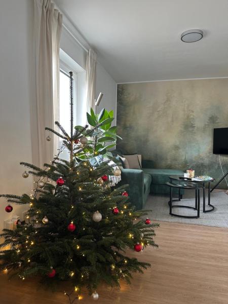 Mosel Solea Boutique Apartment - Piesport