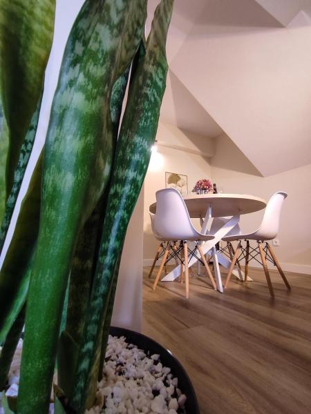 Vitoria's Vale - Madère