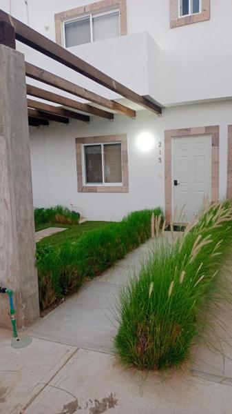 Shinyado Cabo San Lucas - Cabo San Lucas