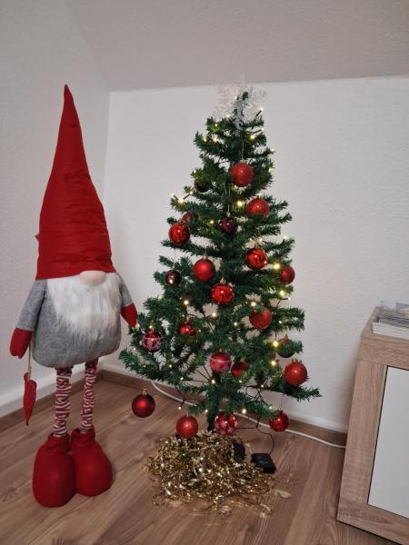 Holiday Nest 2 - Sønderborg