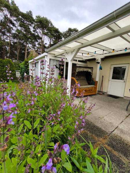 Fewo Renken - Usedom