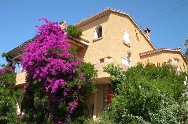 Villa Les Dauphins - Hyères