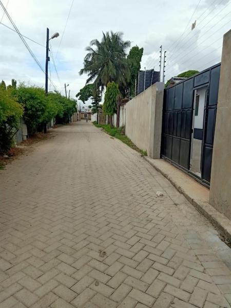 Peaceful Oasis - Kenya