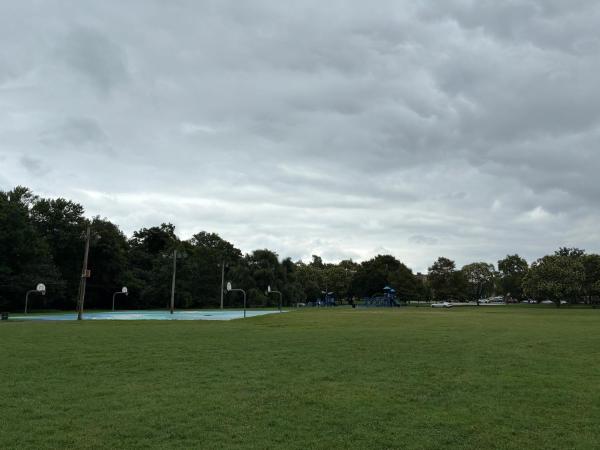 Gilded Age Tower - Bala Cynwyd