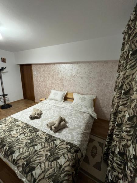 Apartament Comfort - Dorna Candrenilor