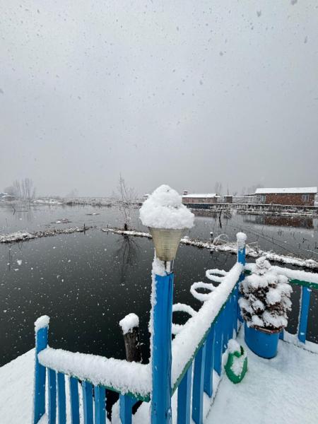 Houseboat Wild Rose - Srinagar