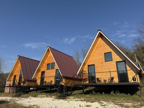 Aroma Of The Forest - Georgia