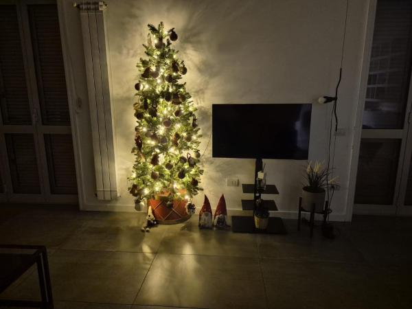 Domusplevano - Campanie