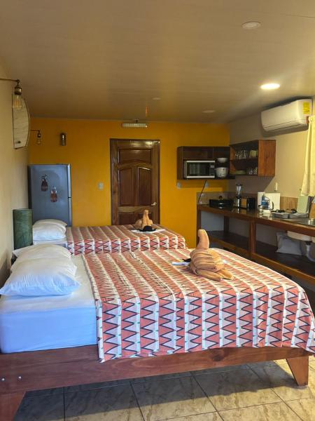 Willy's Fish Camp Ocean View Rooms Drake Bay Costa Rica - Costa Rica