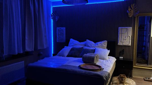 Cabin Woods - Wald Appartment Mit Romantischen Bauwagen - Nienburg/Weser