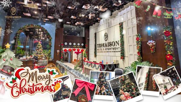 Tdmaison Hotel & Apartment - Long Hải