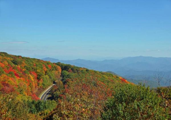 Tellico Nature Cabin - Close To Skyway & Rivers - Tellico Plains, TN