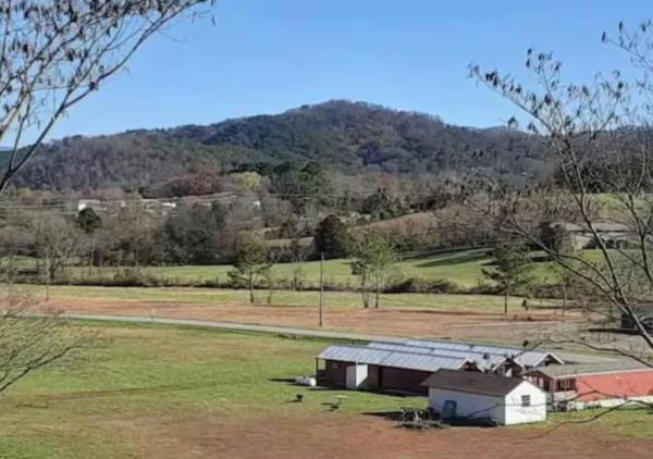 Quiet Tellico Cabin - Minutes To Cherohala Skyway - Tellico Plains, TN