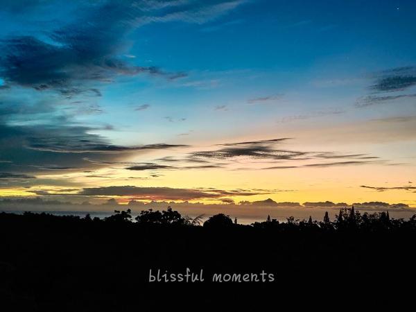 幔利橡樹民宿 - 둥허 향