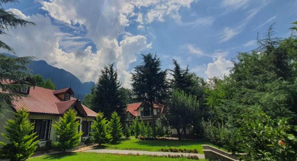 Soul's Abode - Srinagar