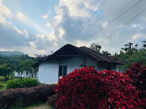 Aagani Gudda Nature Stay Resort - Sakleshpura