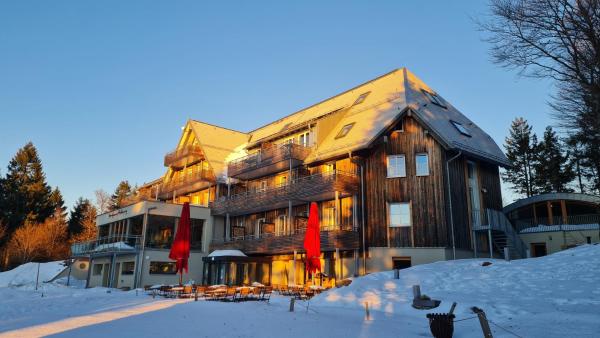 Berghaus Freiburg - Appartement Hotel Auf Dem Schauinsland - Freiburg