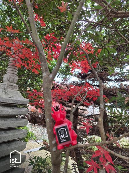 Ist Villa 04 Perfect Retreat With Ocean Views - 岡山県