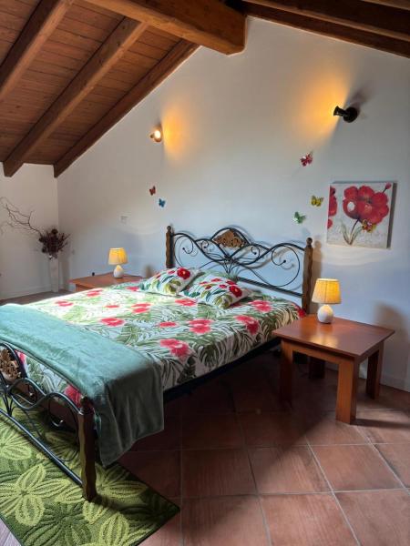 Monterosa Apartment - Momo