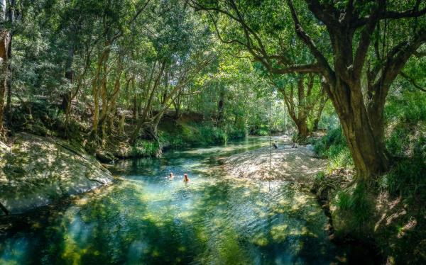 Evermoore Homestead - Bellingen