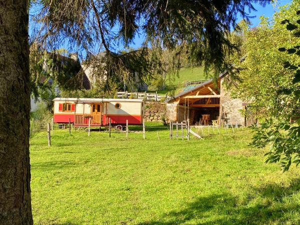 Roulotte Le Gîte-ânes - Cantal