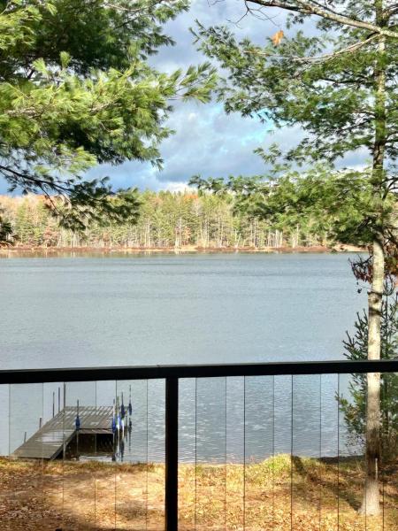 Blue Gill Serenity - Hartwick Pines State Park, Grayling