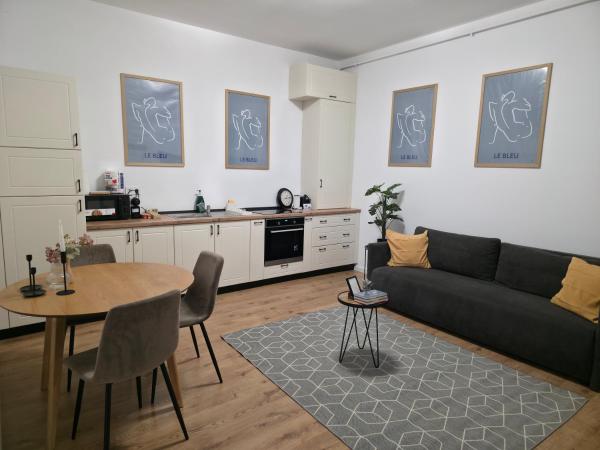 Historical City Center Urban Apartments - Târgu Mureș