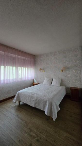 Grand Appartement En Plein Centre De Bagneres De Bigorre Avec Garage - La Mongie