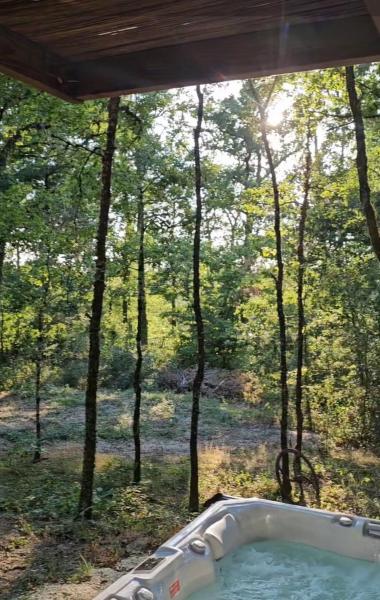 Chalet Au Bois Tranquille - Aquitaine