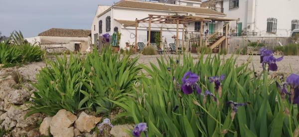 New Leaf Cortijo Apartment ,Moclin - Spanien