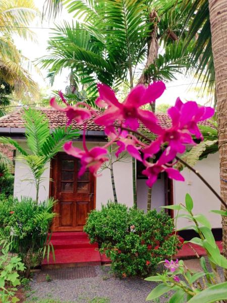 Hill Side Kings Villa (Colonial Bungalow) - Sri Lanka