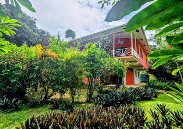 Conchy Tonk - Panama