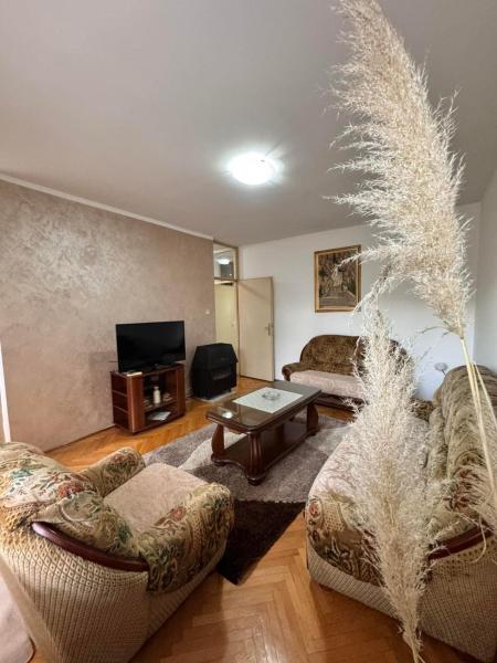 Family-style Apartment In Podgorica - Podgorica