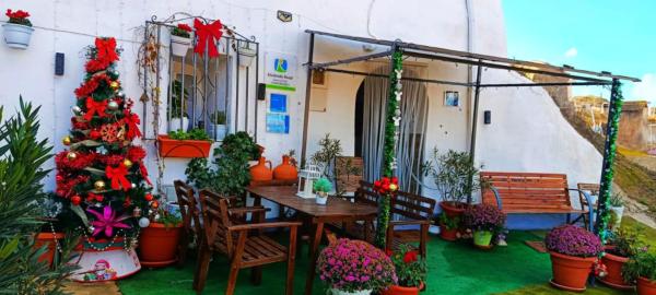 Cueva La Loli - Guadix