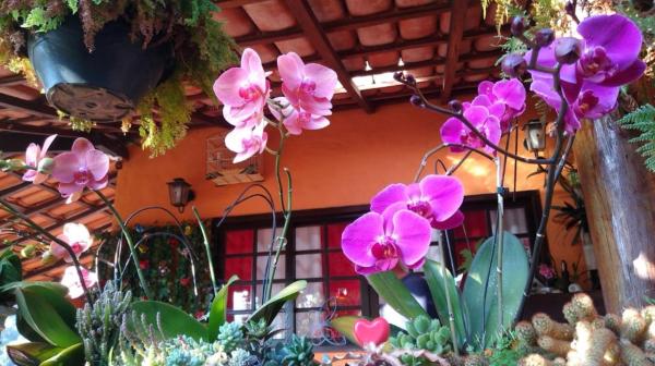 Chalé Da Elba - Ilhabela