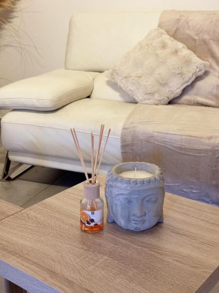 Spacieux Rez De Maison 7 Pers Clim Cour Et Parking - Palavas-les-Flots