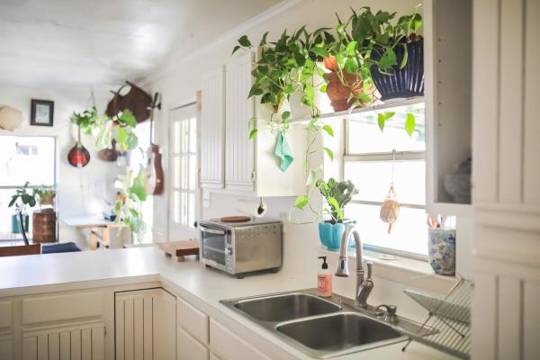 Stylish Musician's Flat With Creekside Garden - Austin